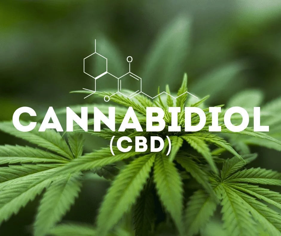 Benefits of CBD – Gold Spectrum