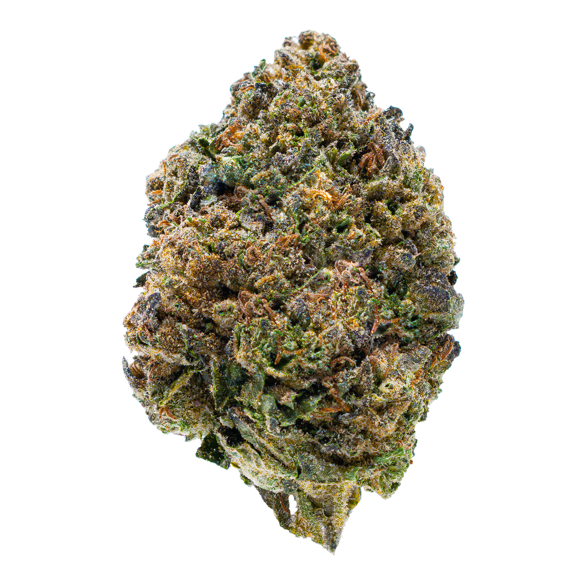 Flor de THCa Double Burger Connoisseur | Espectro Dorado – Gold Spectrum
