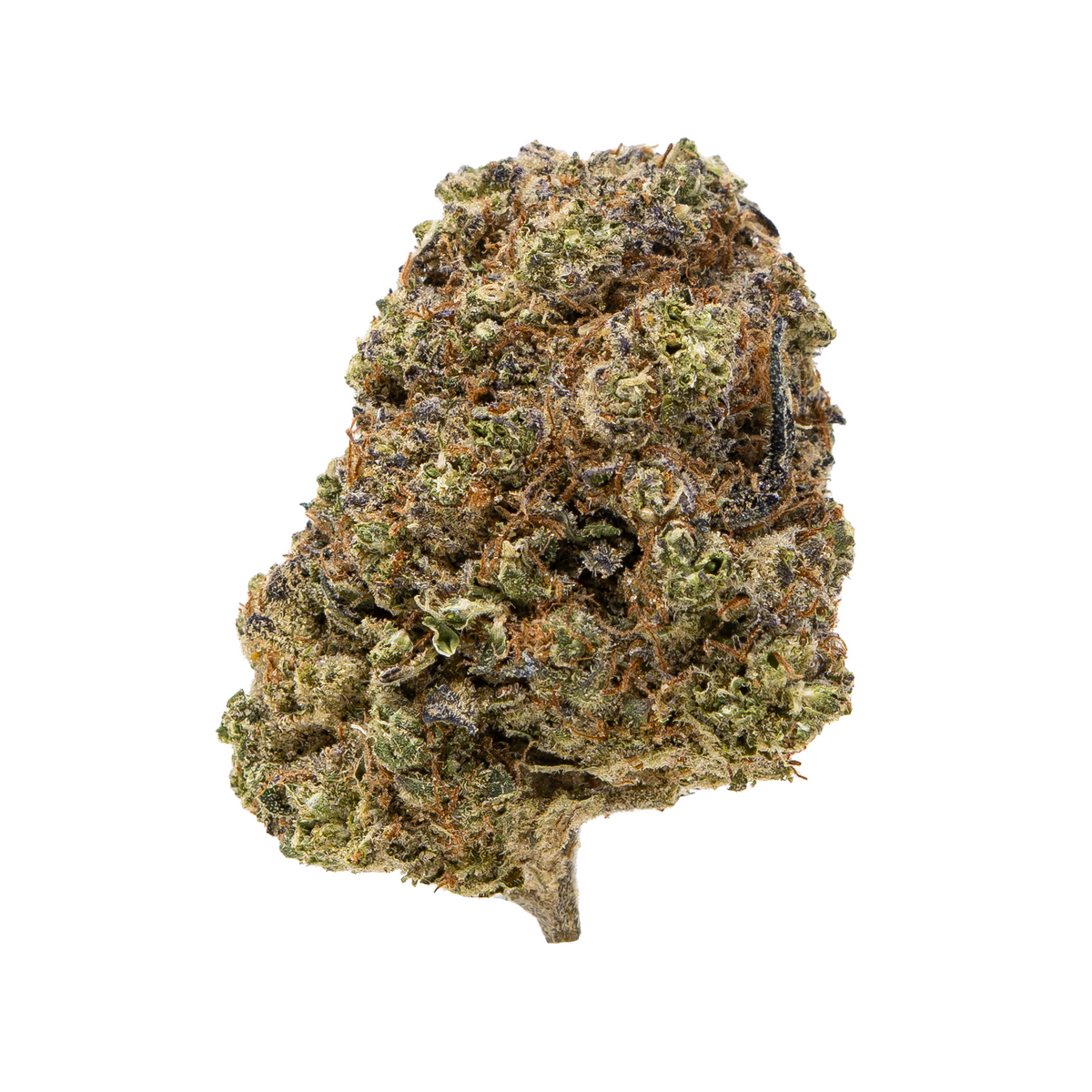 GMO Top Quality THCa Flower | Gold Spectrum