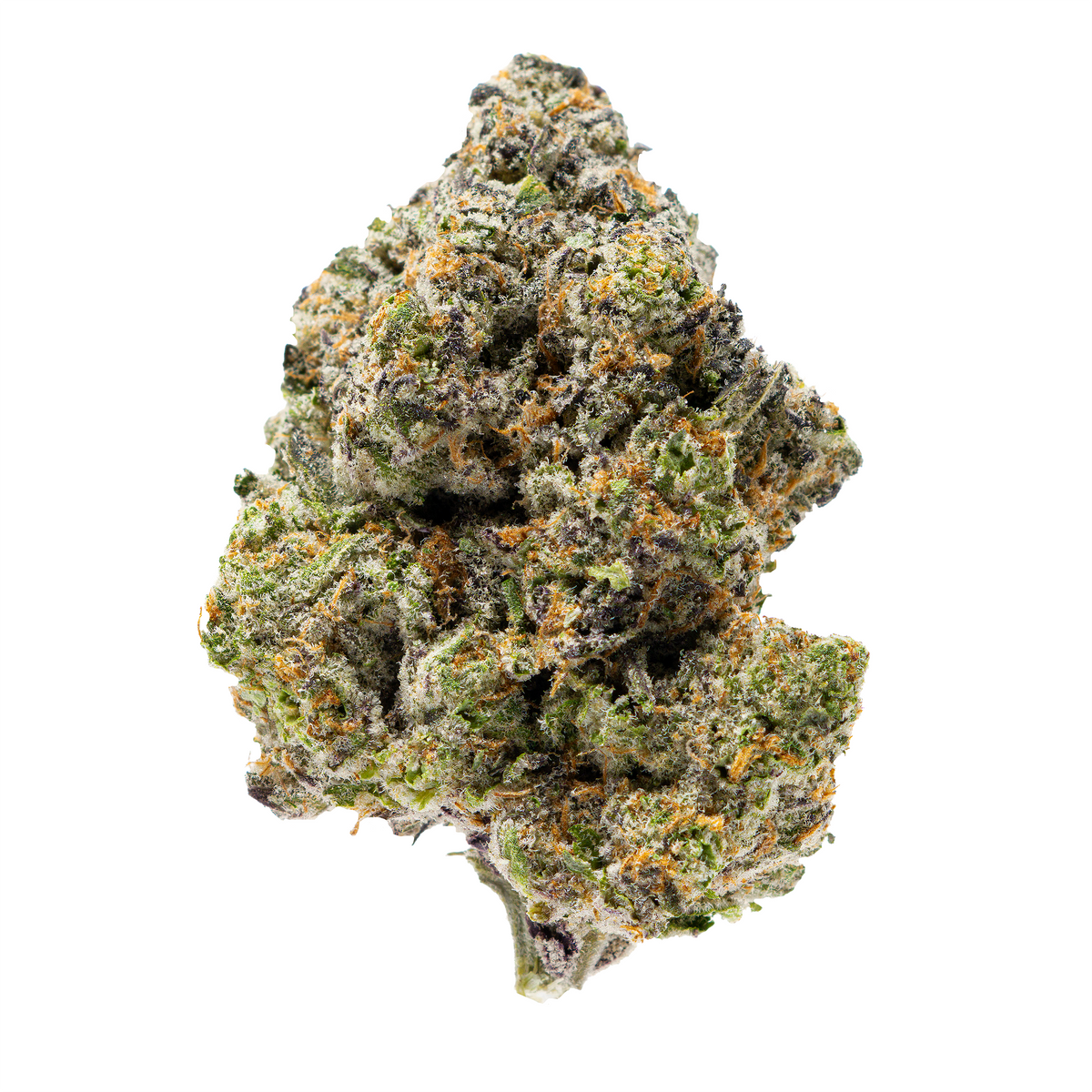 RS:11 Connoisseur THCa Flower | Gold Spectrum