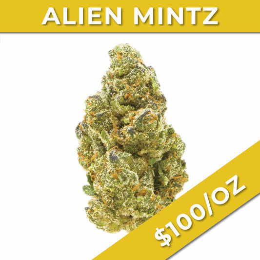 SOTM – Gold Spectrum