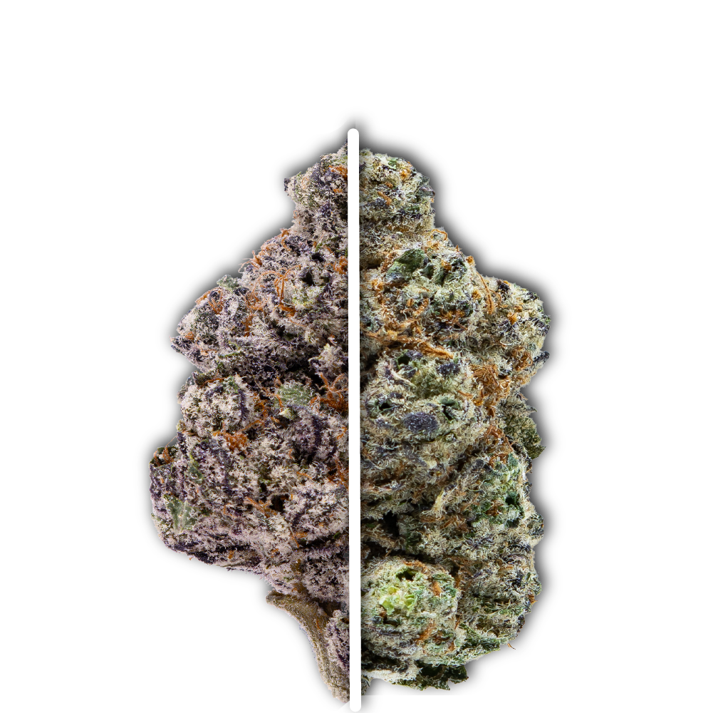Premium THCA Flower Collection | Gold Spectrum CBD