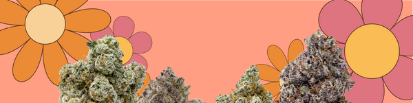 Gold Spectrum - The Gold Standard of THC