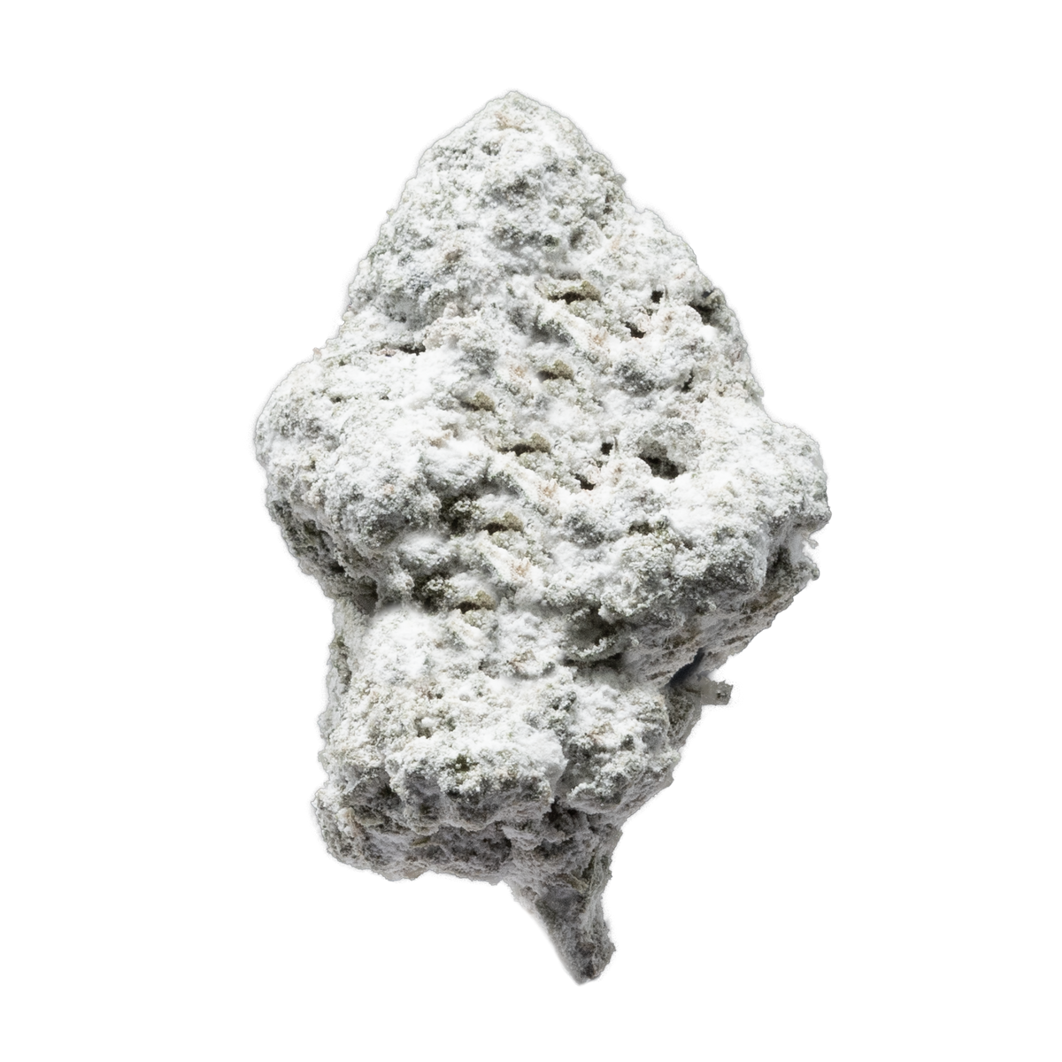 THCA Flower Snowball Of The Month | Gold Spectrum