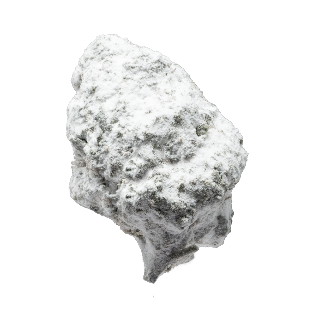 THCA Flower Snowball Of The Month | Gold Spectrum