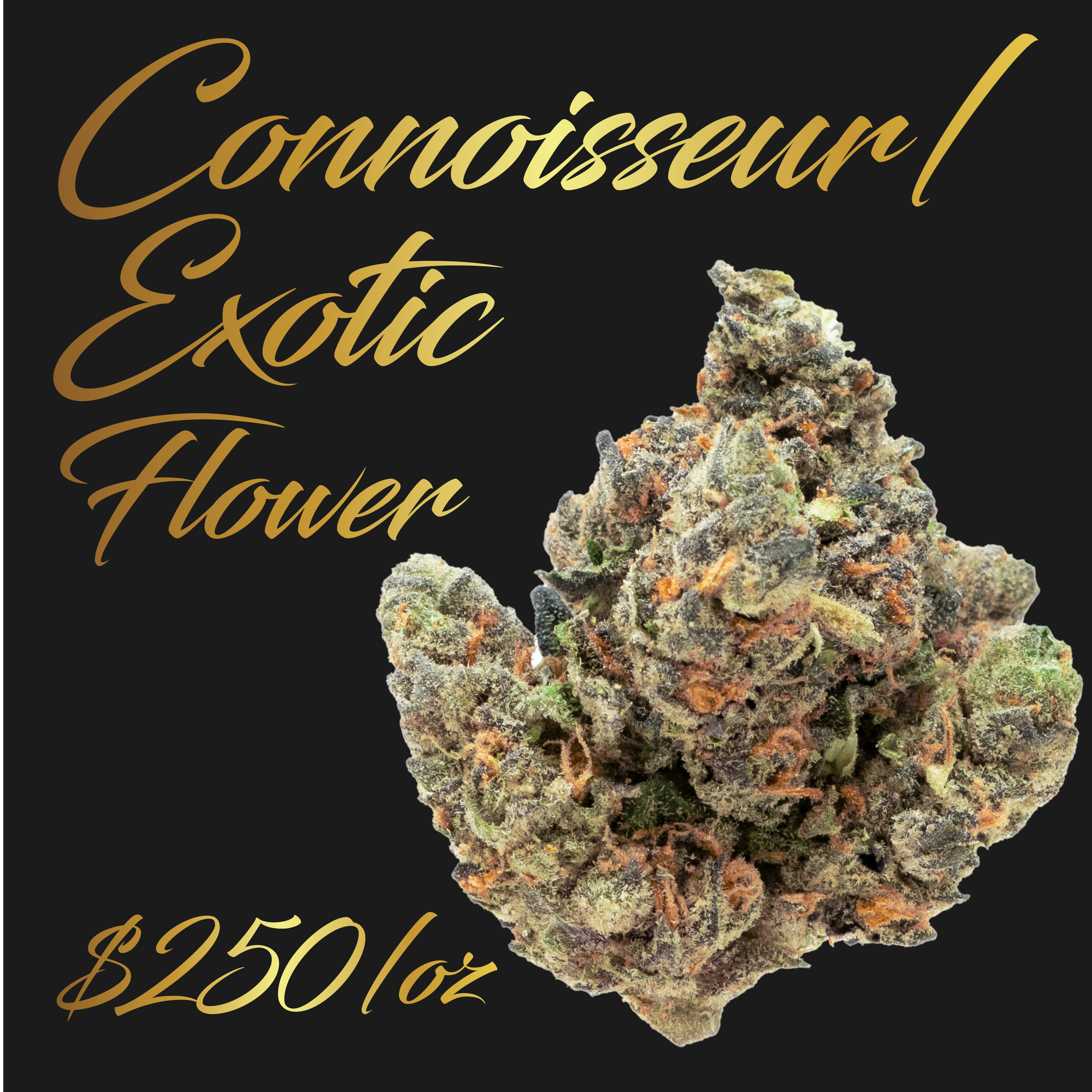 Premium THCA Flower Collection | Gold Spectrum CBD