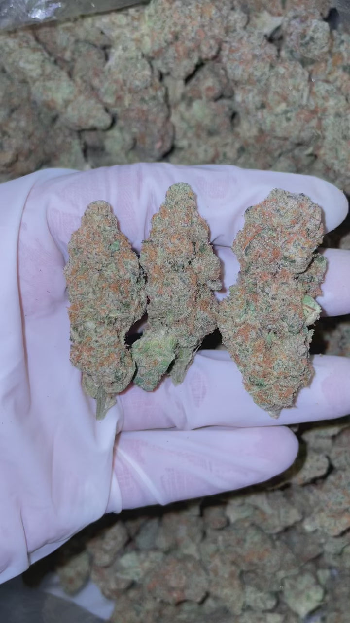 Premium THCA Flower Collection | Gold Spectrum CBD – Page 3